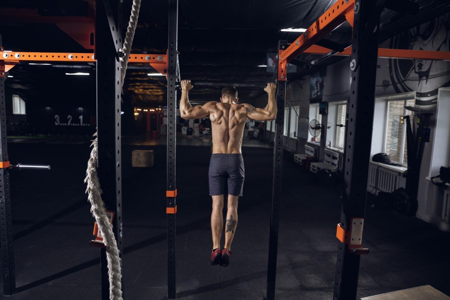 Are Push-Ups easier than Pull-Ups? 3 differences