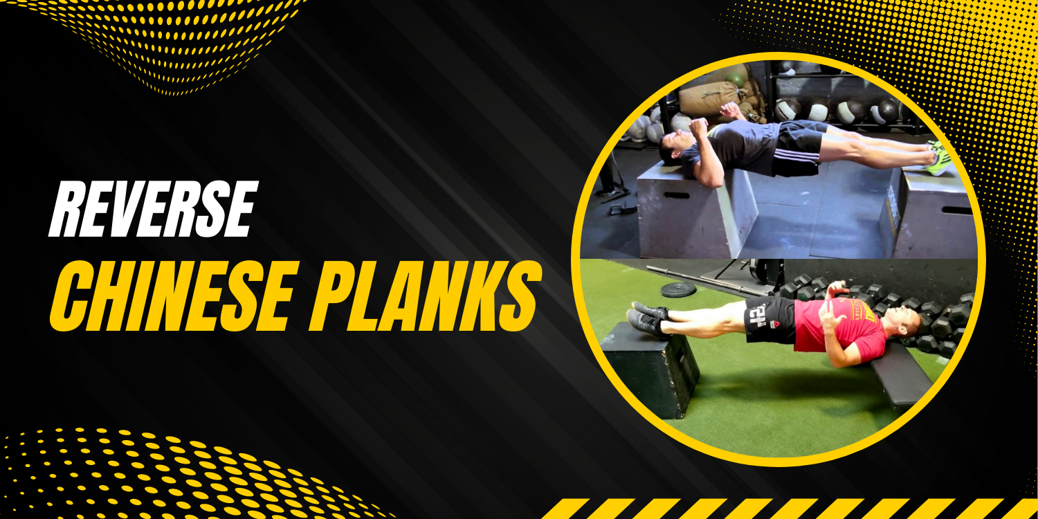 37 Bodyweight workouts to train your back