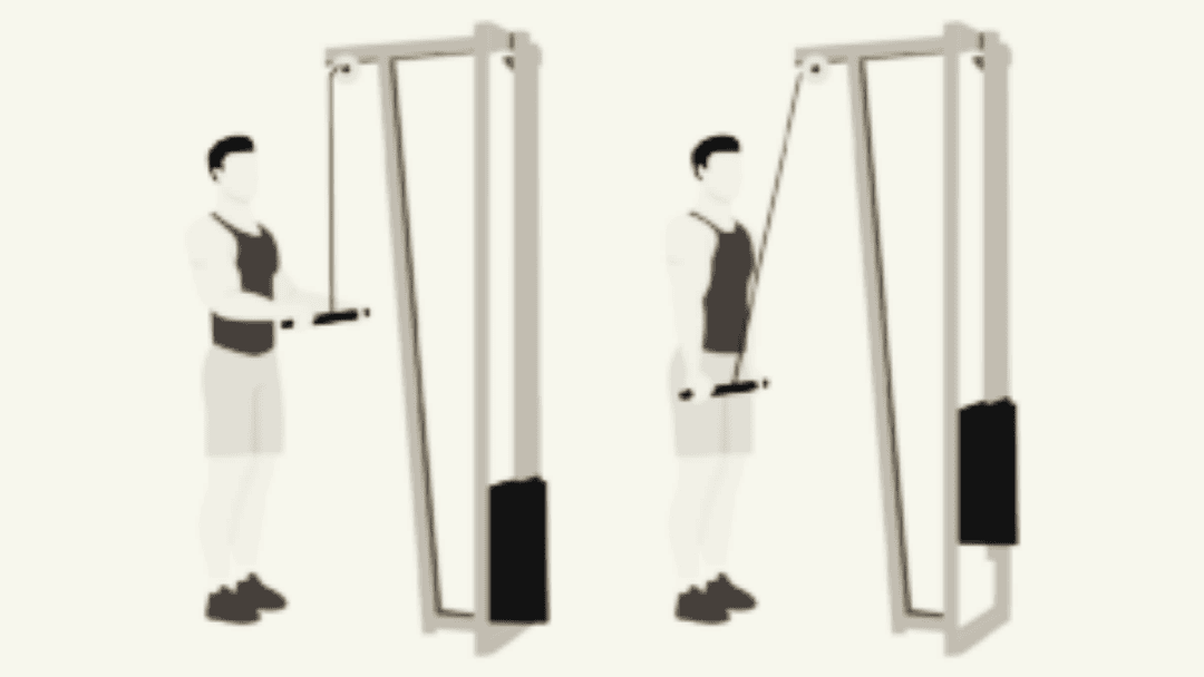 Are You Using the Right Weight for Tricep Pushdowns? Find Out Fast!
